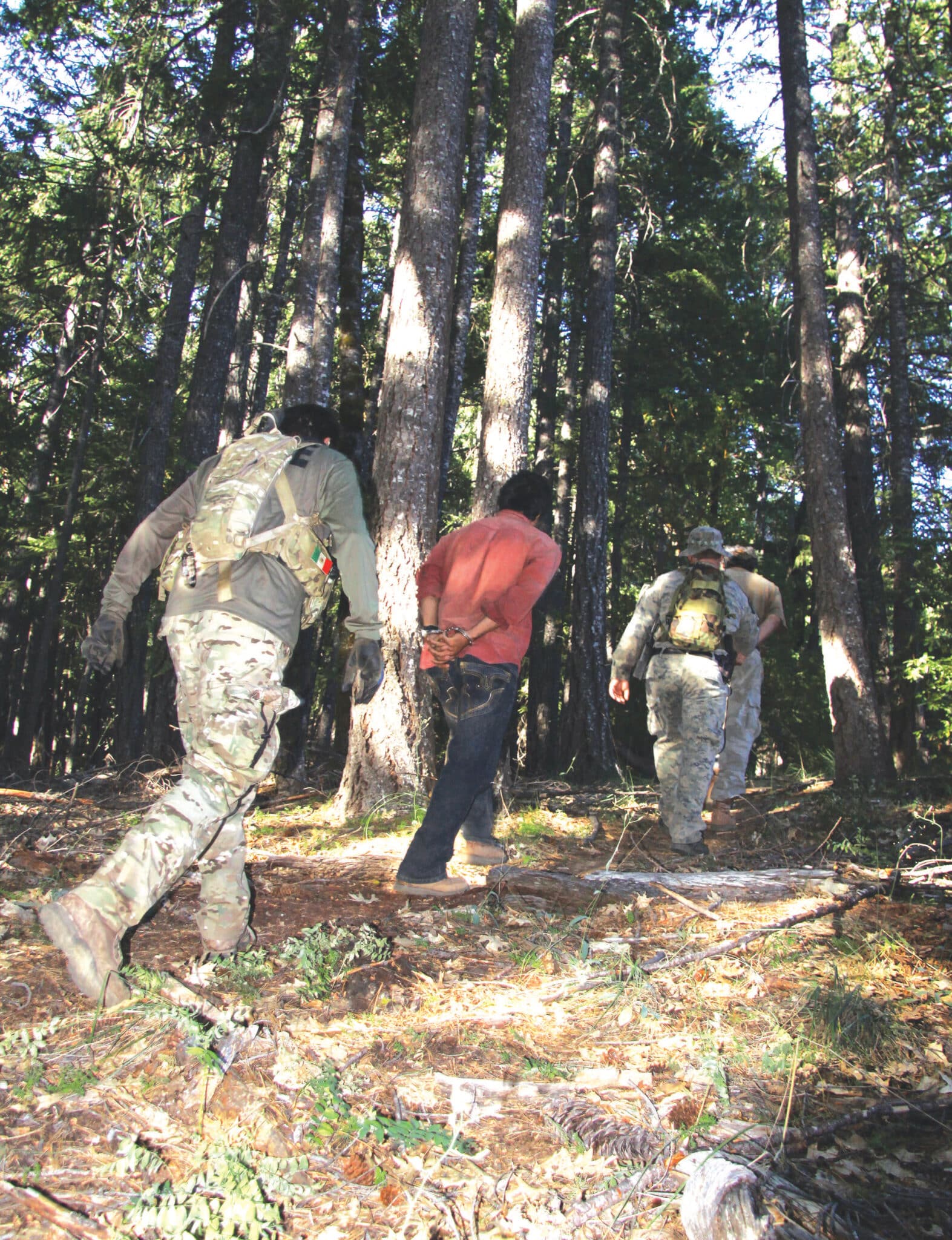 A Display Case for Large Flies - California Fly Fisher