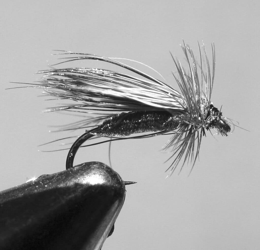 Gearhead: Understanding Fly Lines - California Fly Fisher