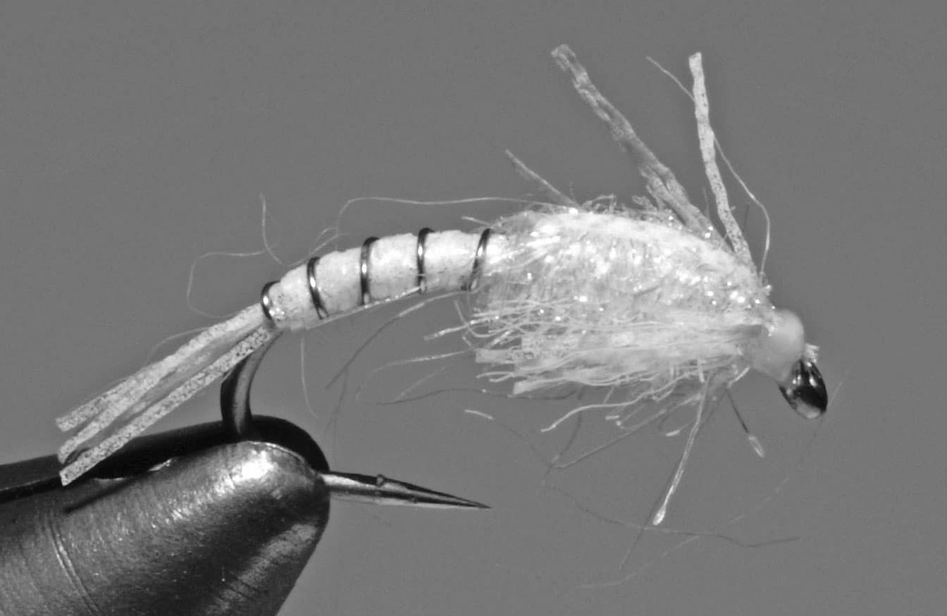 Full-Moon Fly Fishing - California Fly Fisher