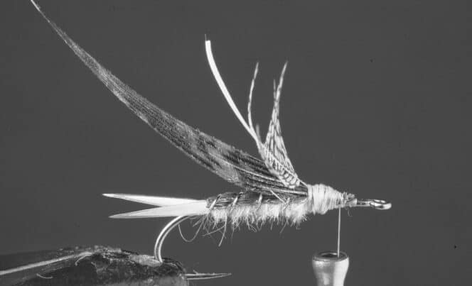 At the Vise: Bill’s Little Yellow Stonefly Nymph - California Fly Fisher