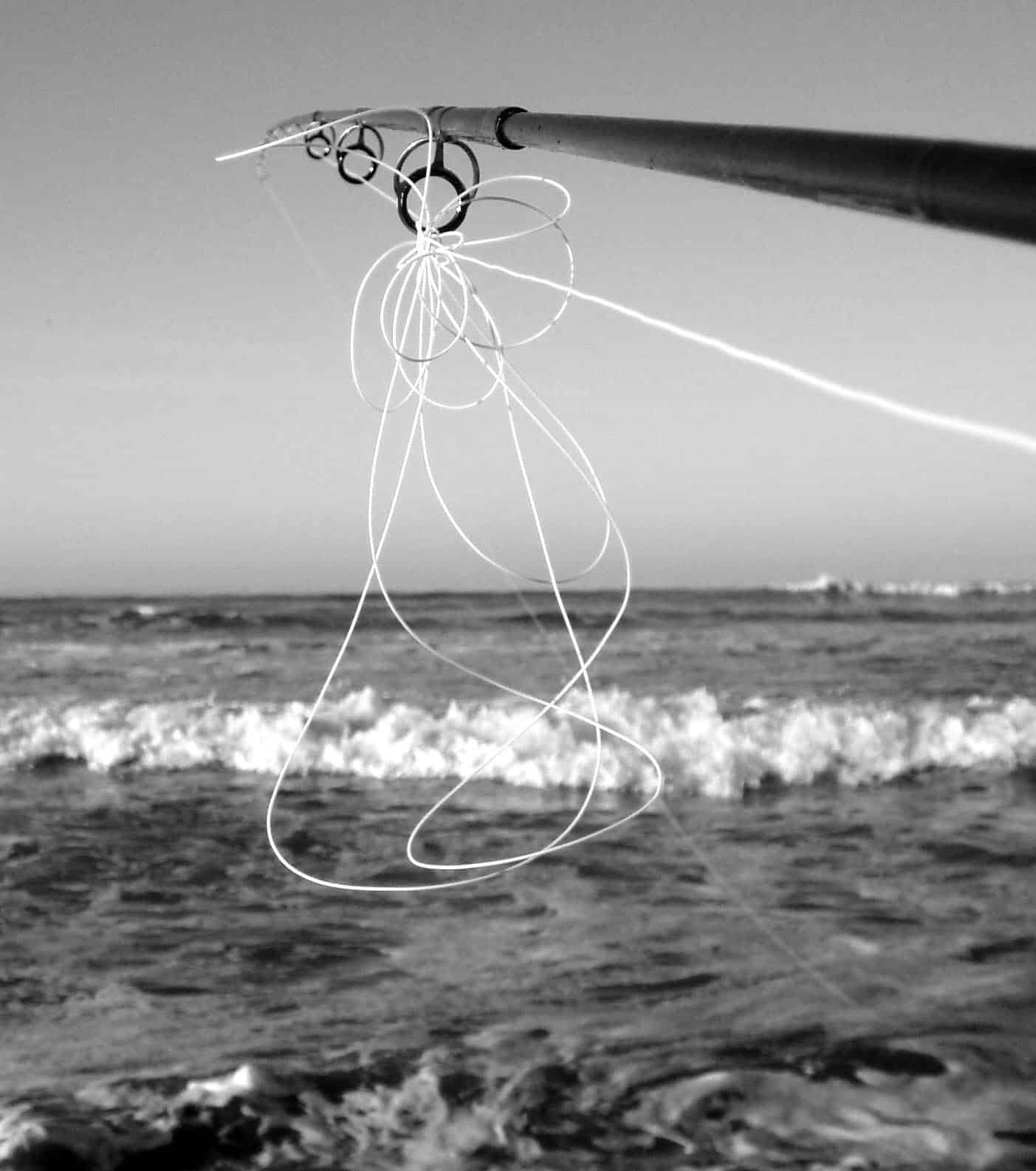 Choosing Shooting Lines - California Fly Fisher