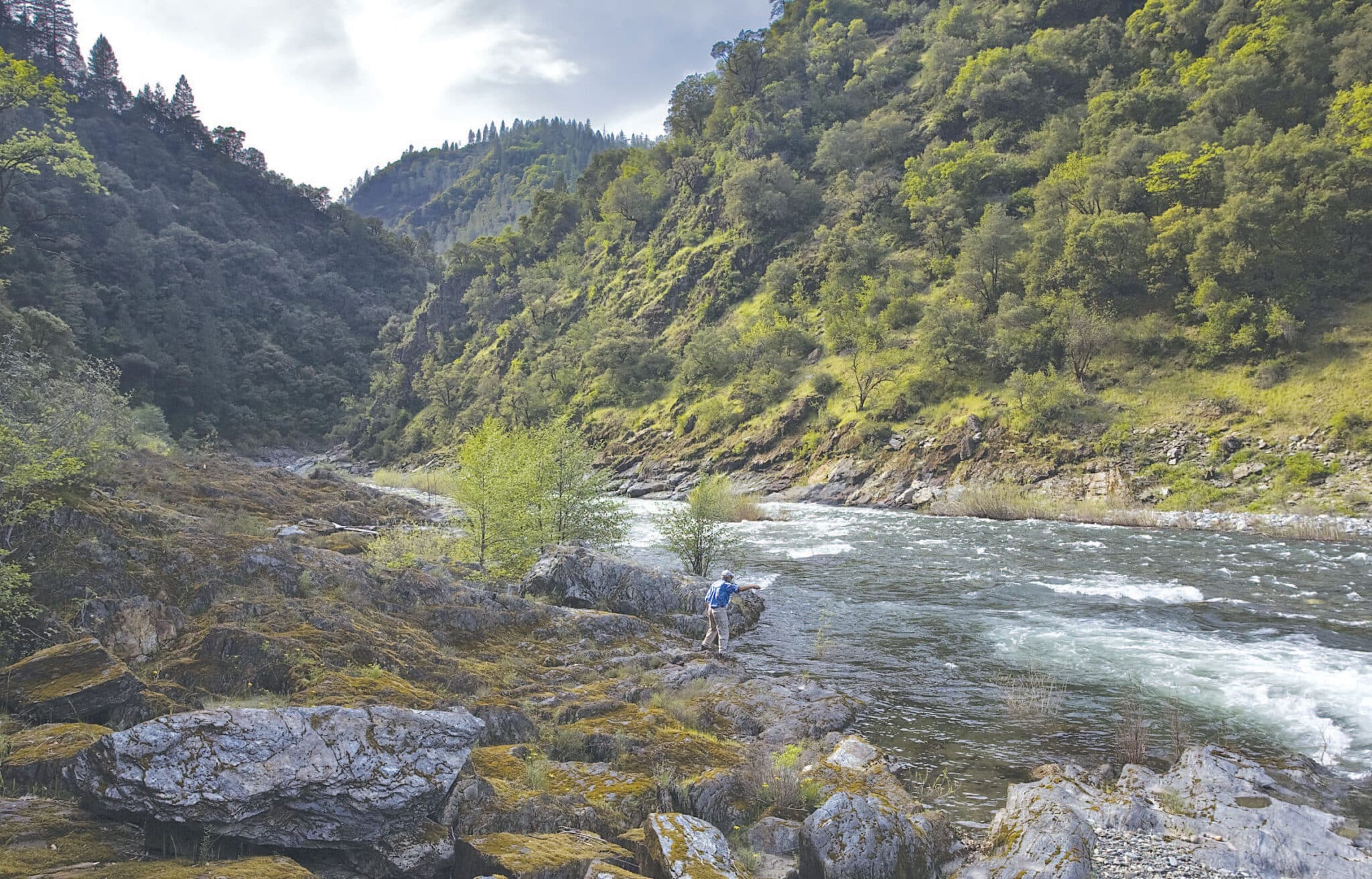 The Upper North Fork of the American River - California Fly Fisher