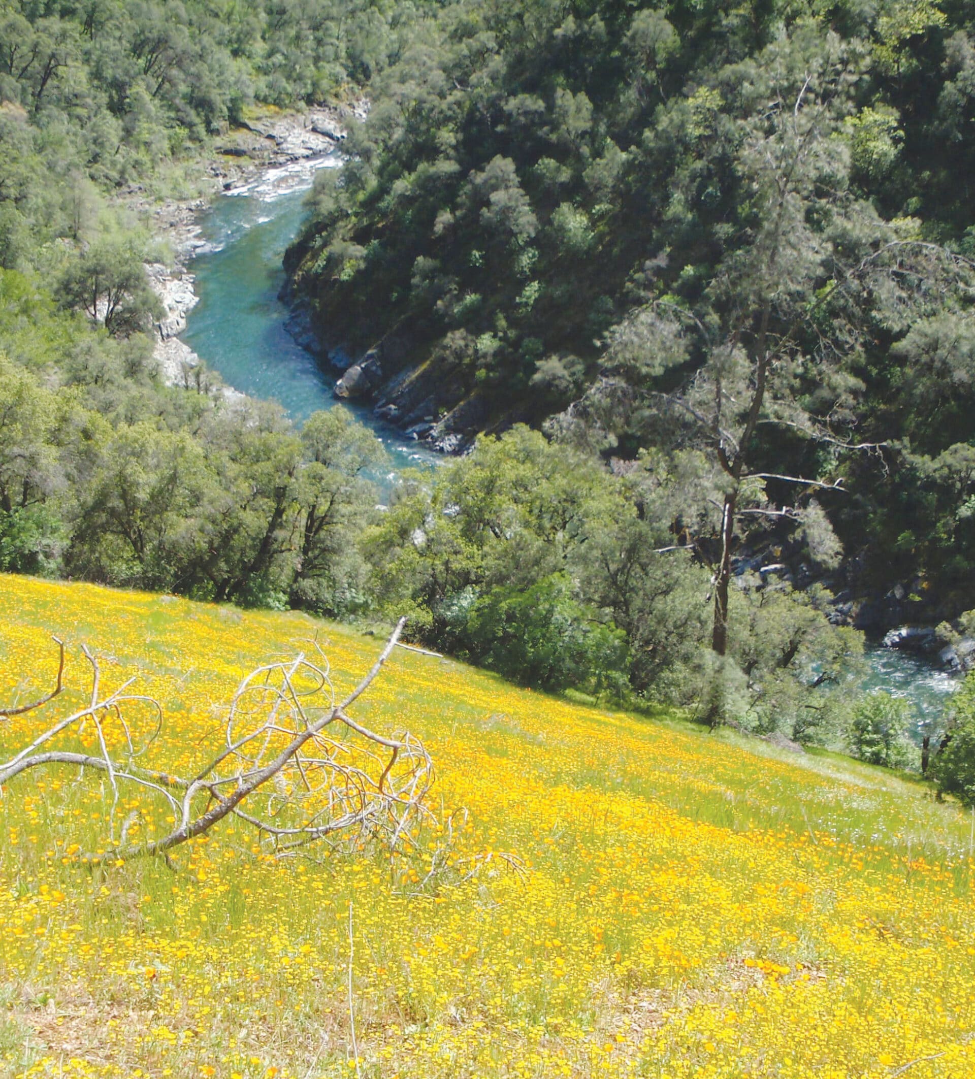 Stillwater Fishing Techniques: A Primer - California Fly Fisher