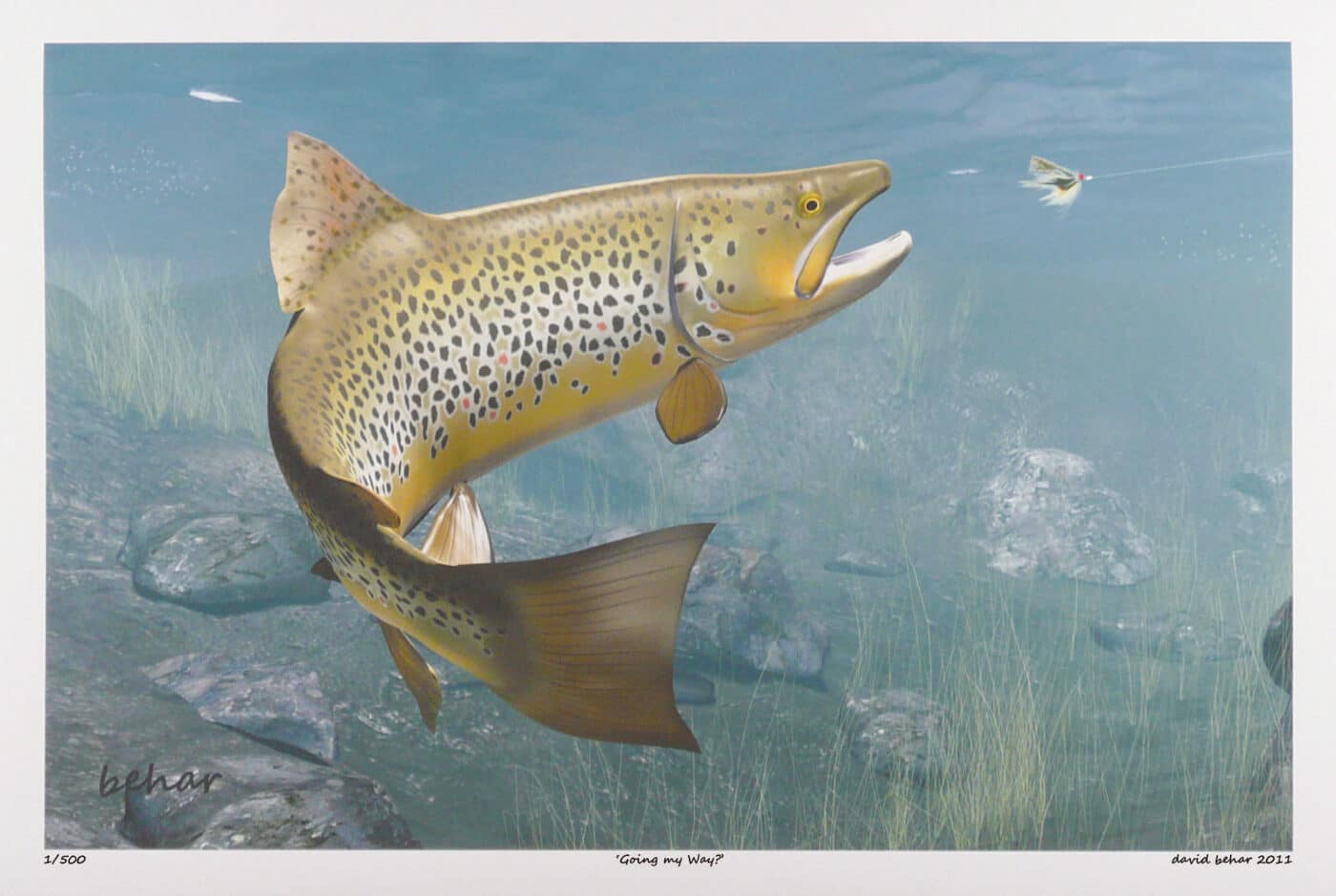 February 2012 Archives - California Fly Fisher