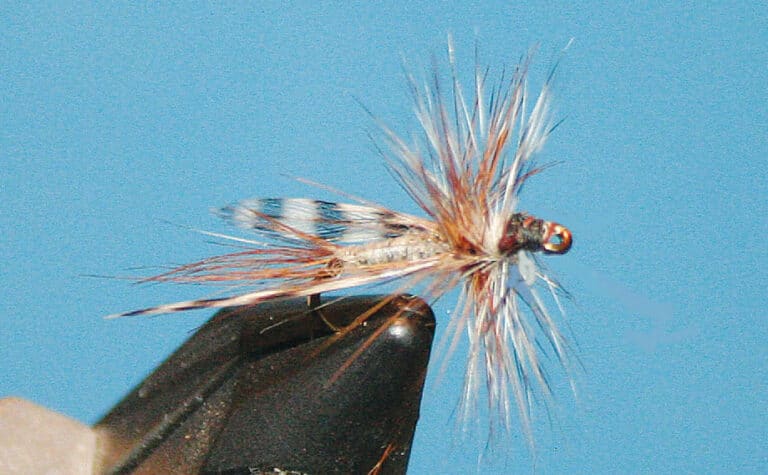 The Adams Family - California Fly Fisher