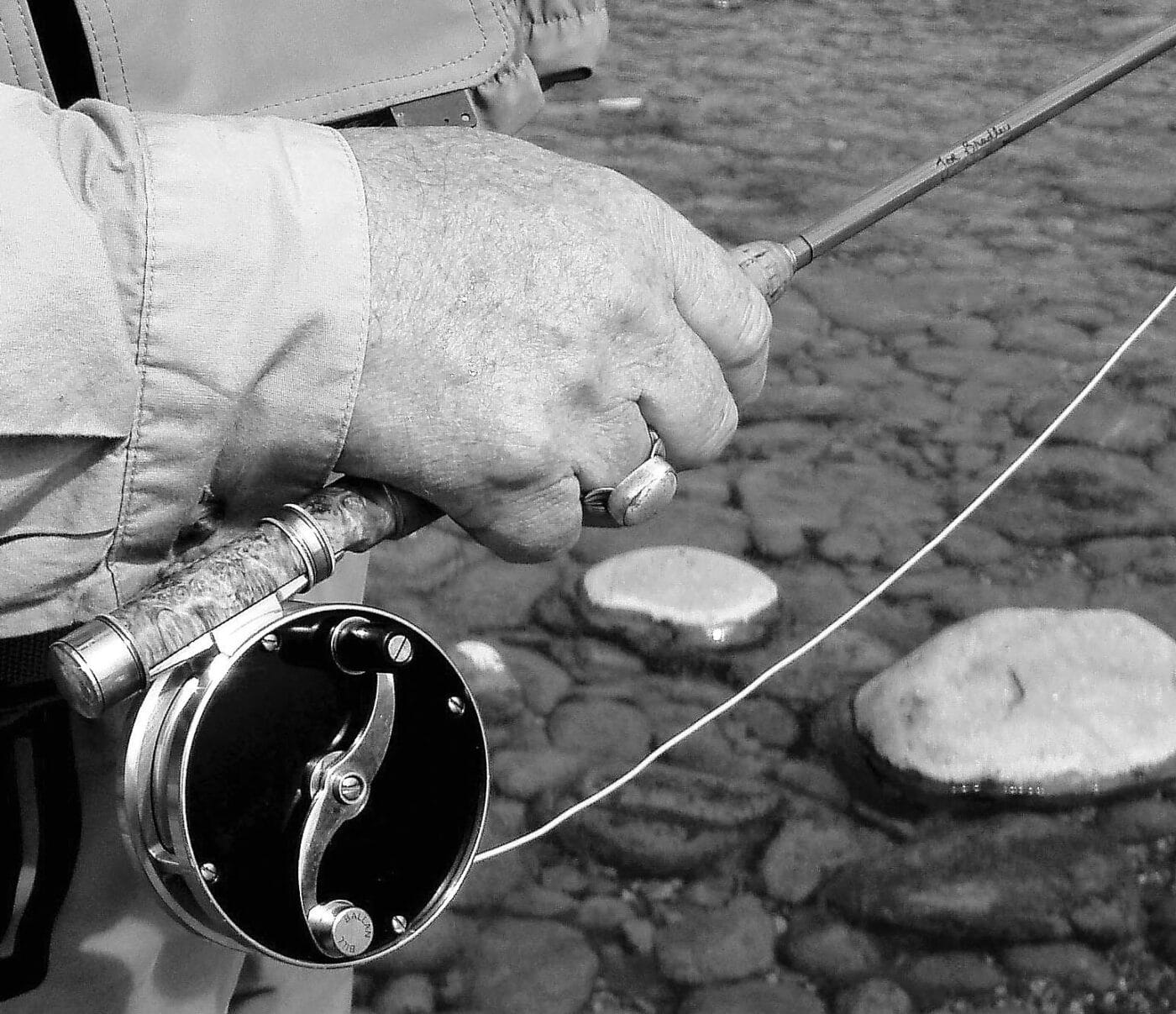 The Warmwater Fly Fisher: Going with the Grain(s) - California Fly Fisher