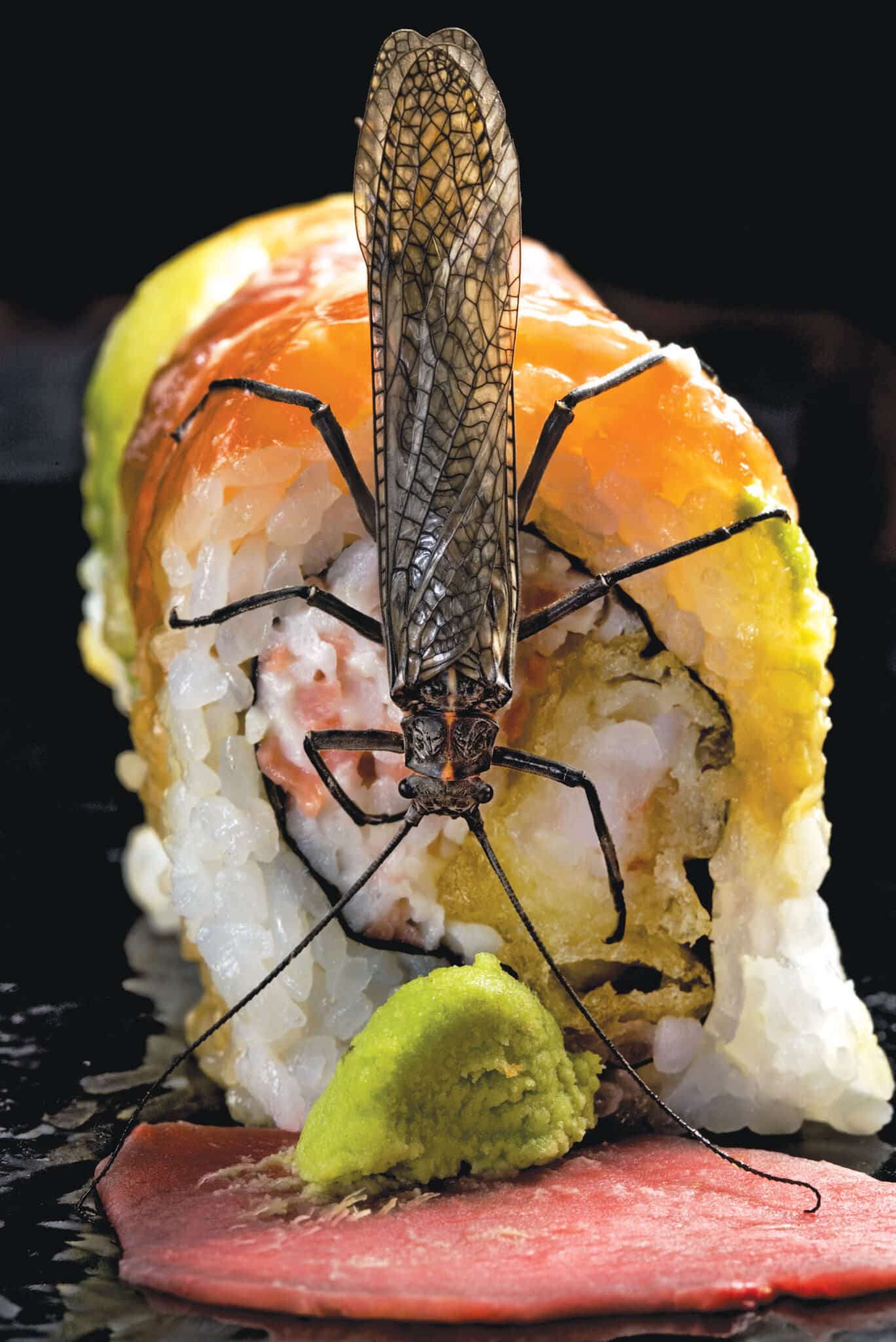 The Warmwater Fly Fisher: Ponds in Memory - California Fly Fisher