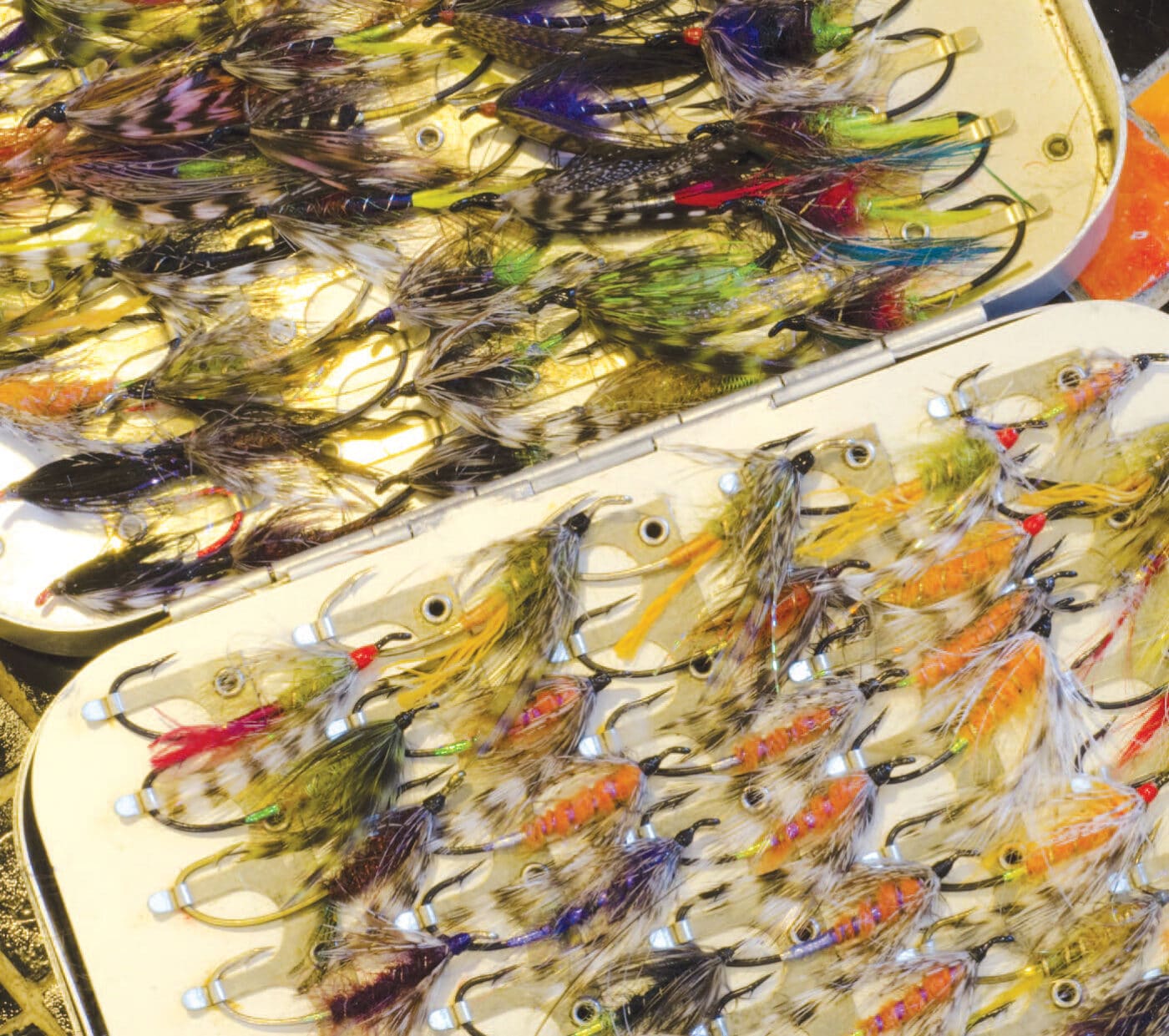 Baja: Loreto - California Fly Fisher