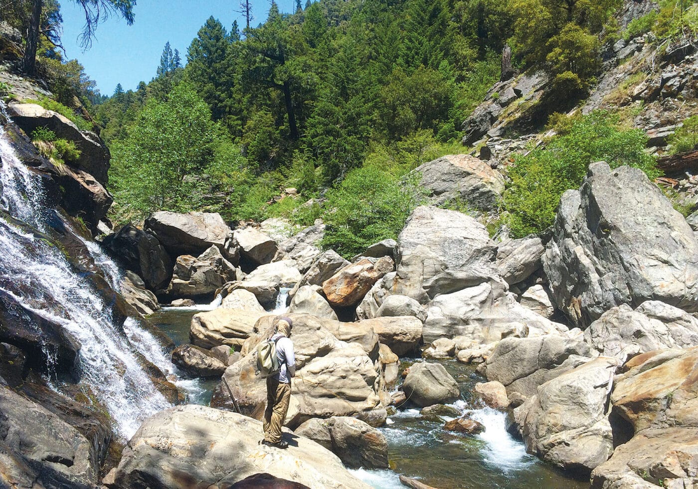 The Foraging Angler: Camp Fare - Flank Steak - California Fly Fisher