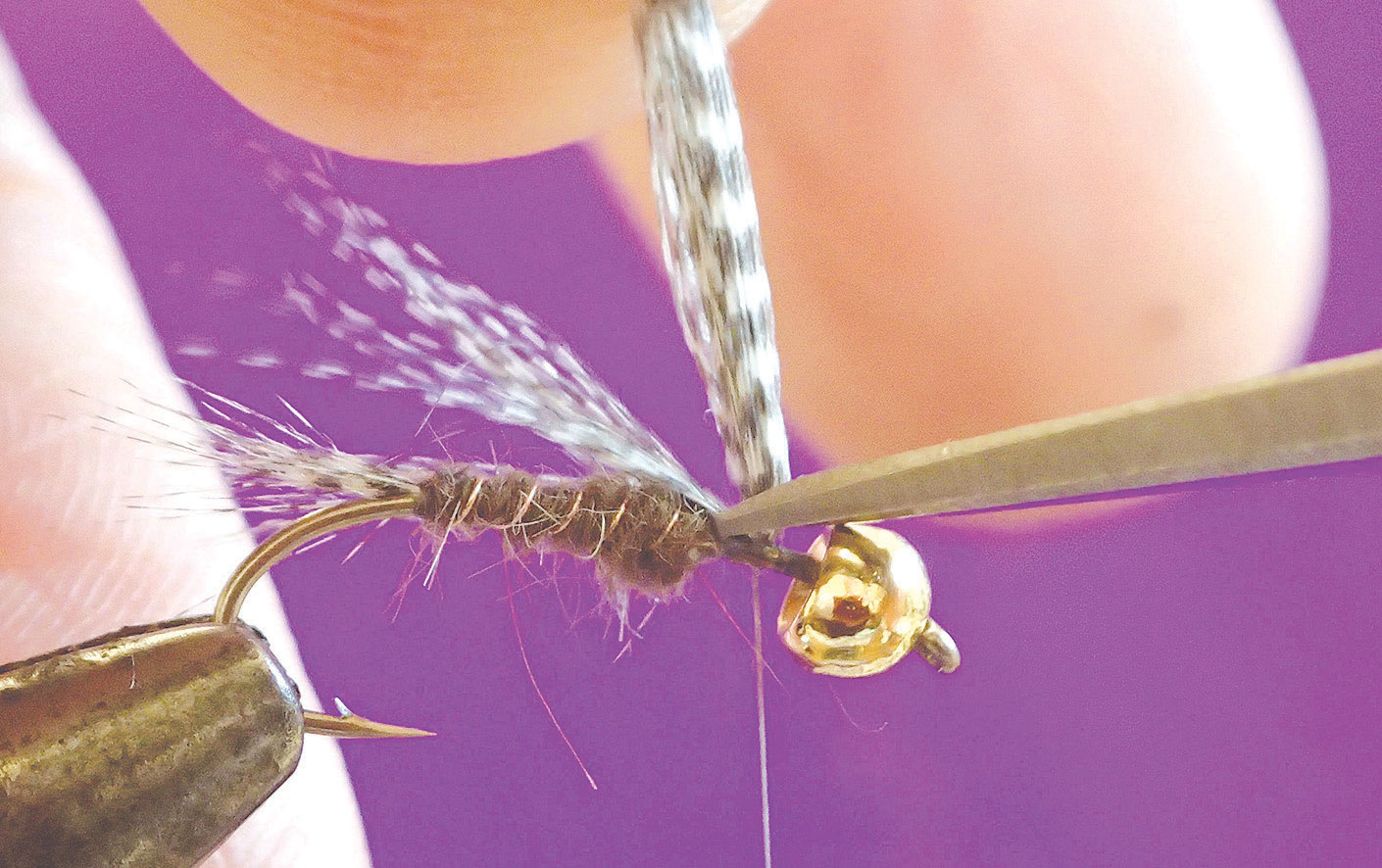 The Bird’s Nest After Cal Bird - California Fly Fisher