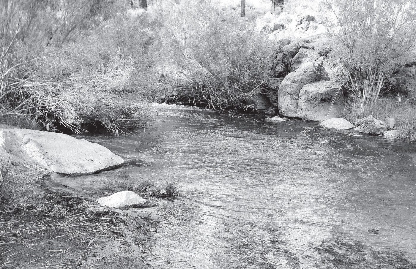 An Owens River Primer - California Fly Fisher
