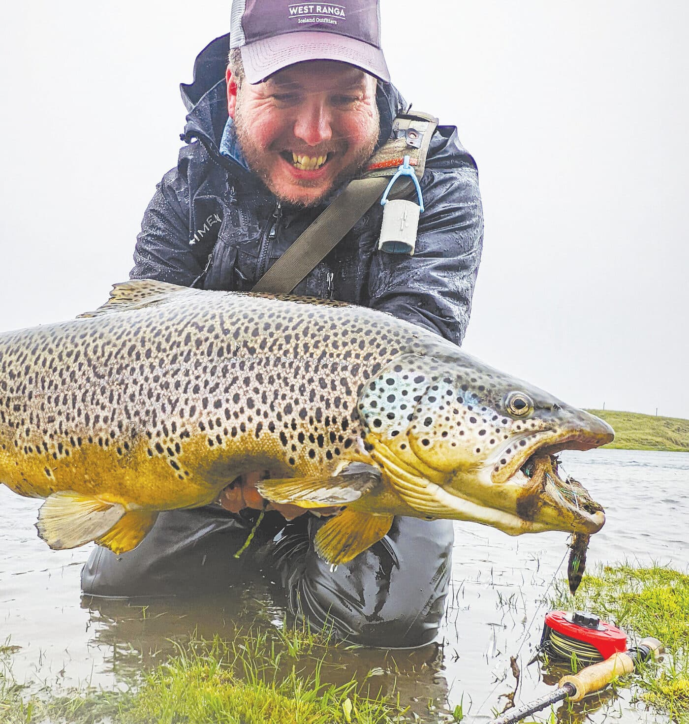 Cannibal Trout - California Fly Fisher