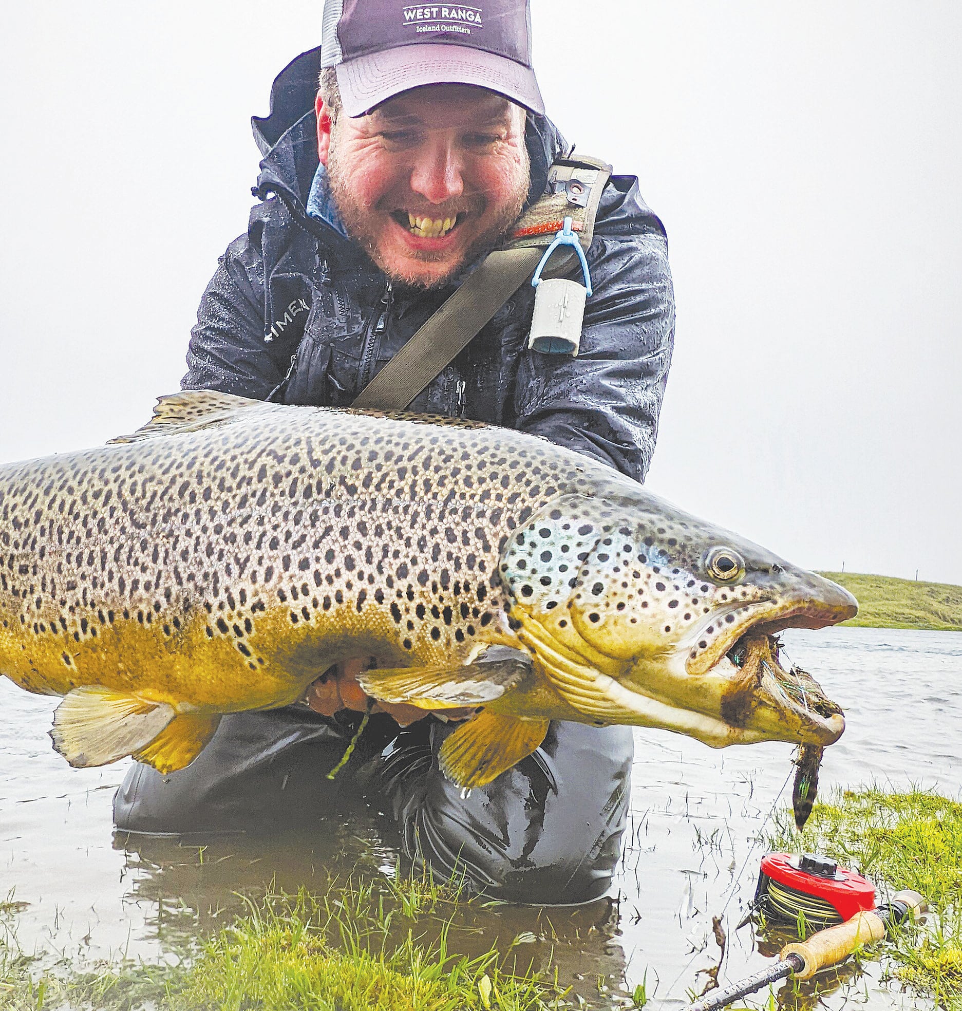 Cannibal Trout - California Fly Fisher
