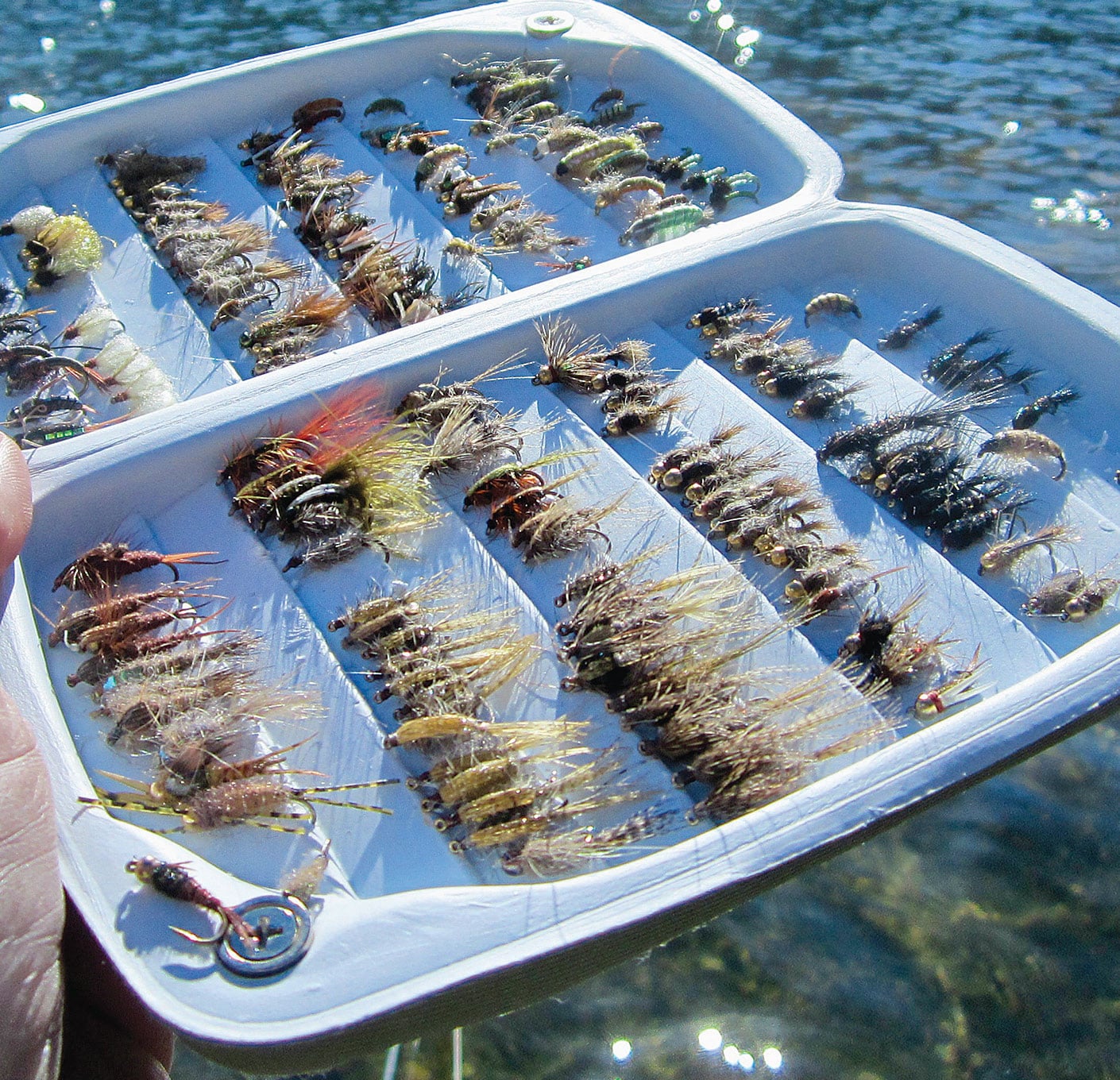 The Virginia Lakes Basin - California Fly Fisher