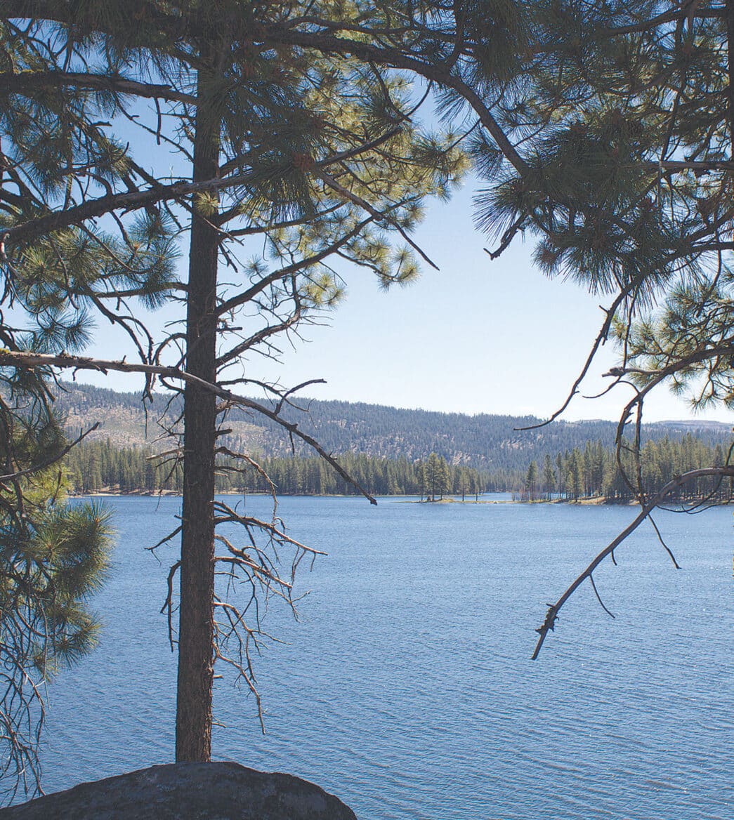 Antelope Lake - California Fly Fisher