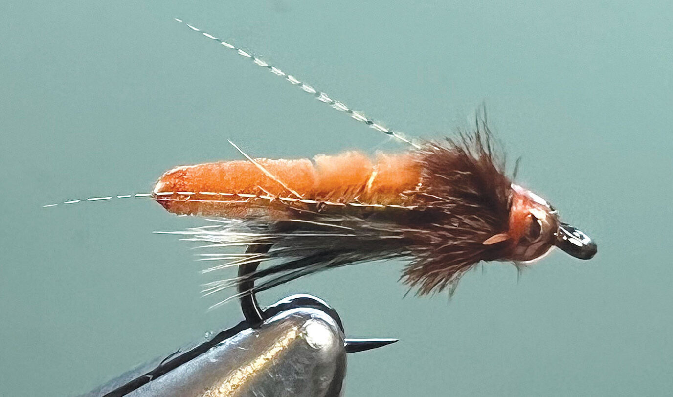 October 2023 Archives - California Fly Fisher