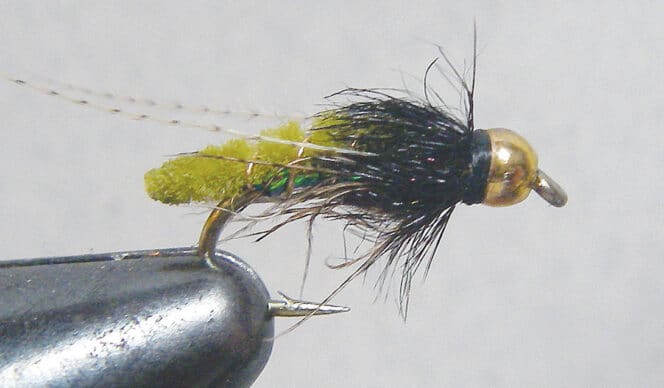 Tim Fox’s Caddis Poopah - California Fly Fisher