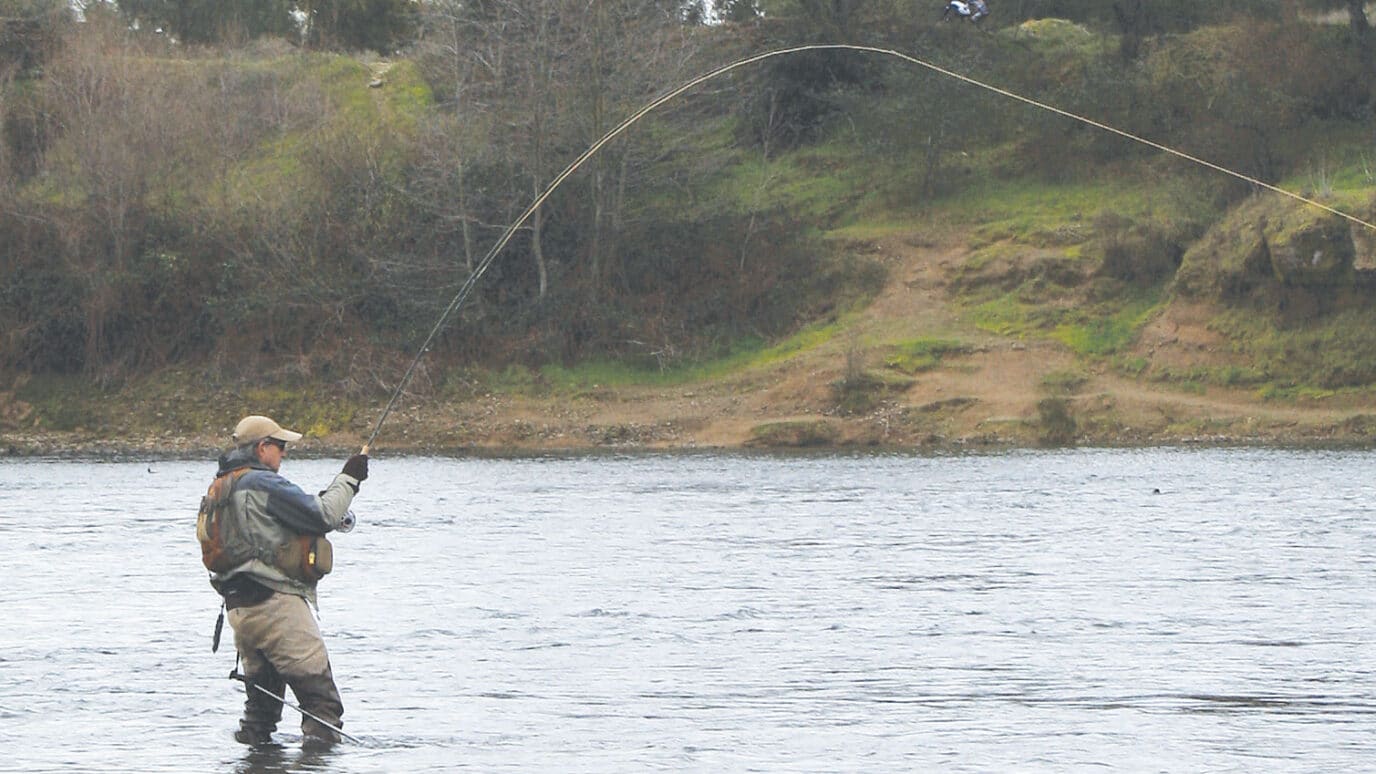 The Lower Owens River - California Fly Fisher