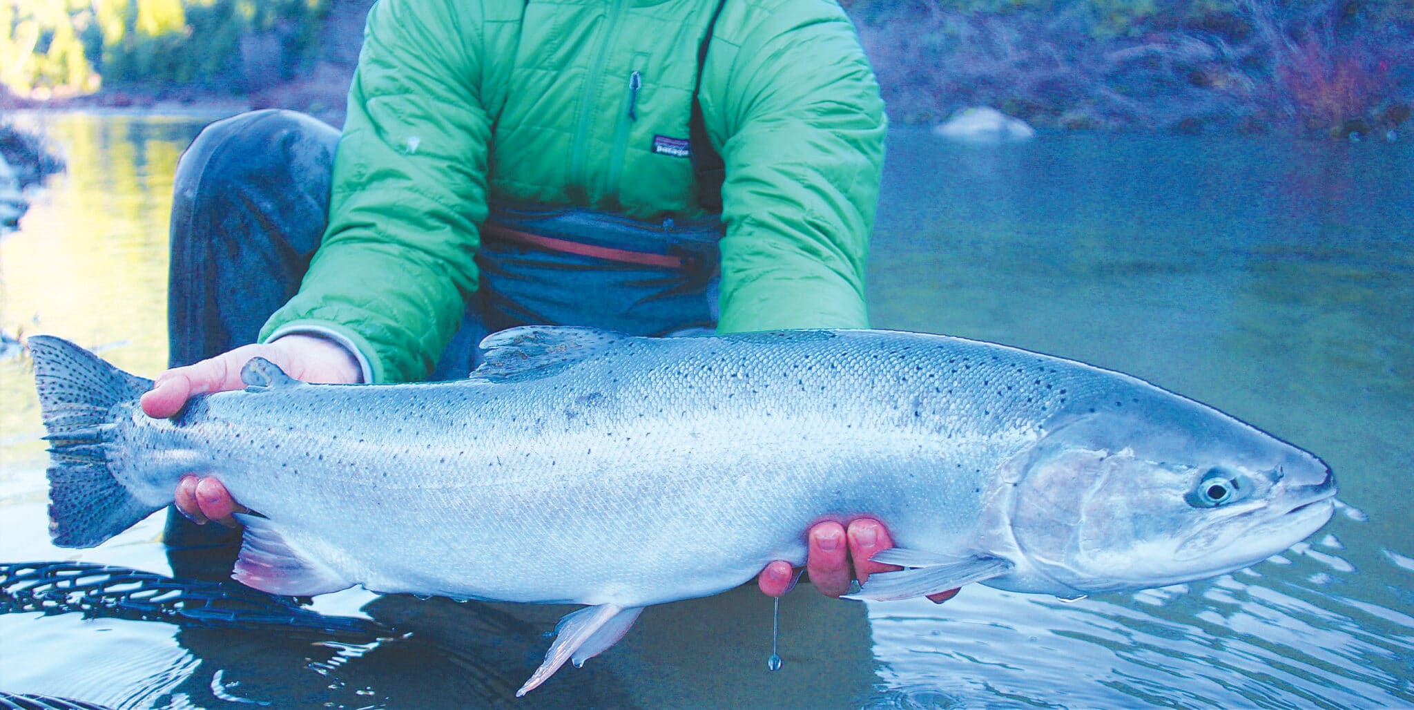 Fly Fishing Soft Plastics - California Fly Fisher