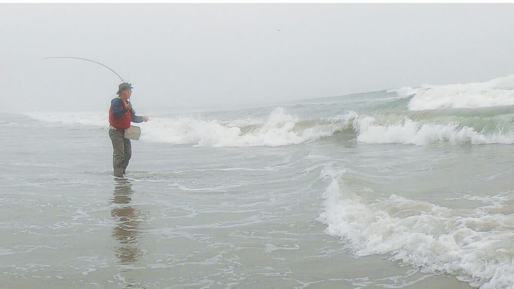 Fly Fishing Soft Plastics - California Fly Fisher