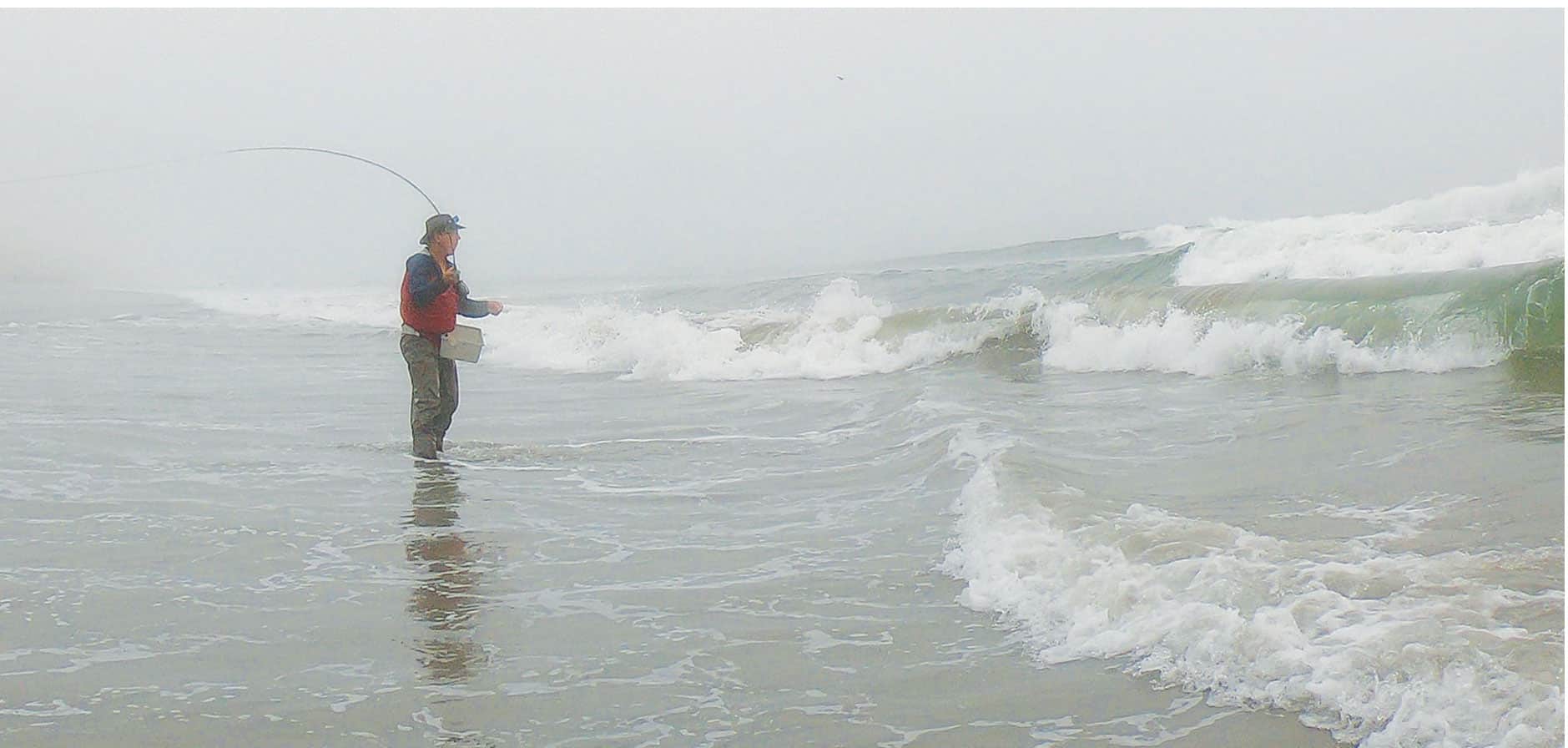 Fly Fishing Soft Plastics - California Fly Fisher
