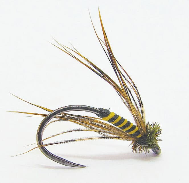 Wingless Wet Flies: Expanding the Design - California Fly Fisher