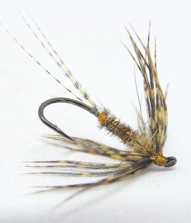 Wingless Wet Flies: Expanding the Design - California Fly Fisher