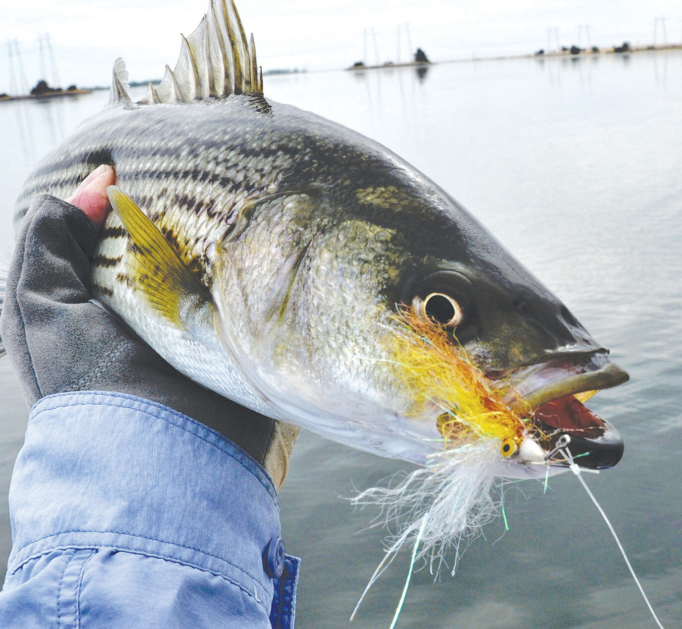 The Foraging Angler: The Eateries of Chico - California Fly Fisher