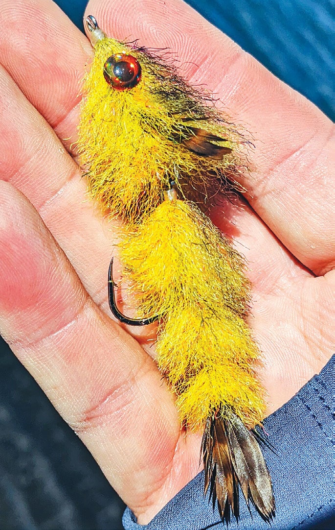 Cannibal Trout - California Fly Fisher