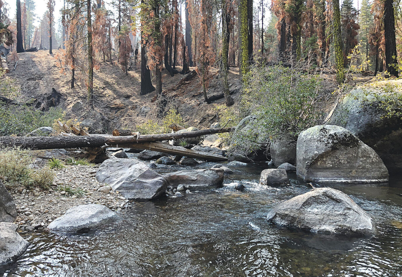 The Good Fight: The Klamath Dams are Coming Down - California Fly Fisher