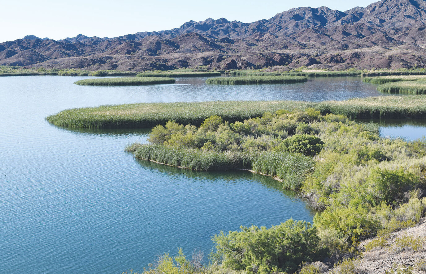 Baum Lake - California Fly Fisher