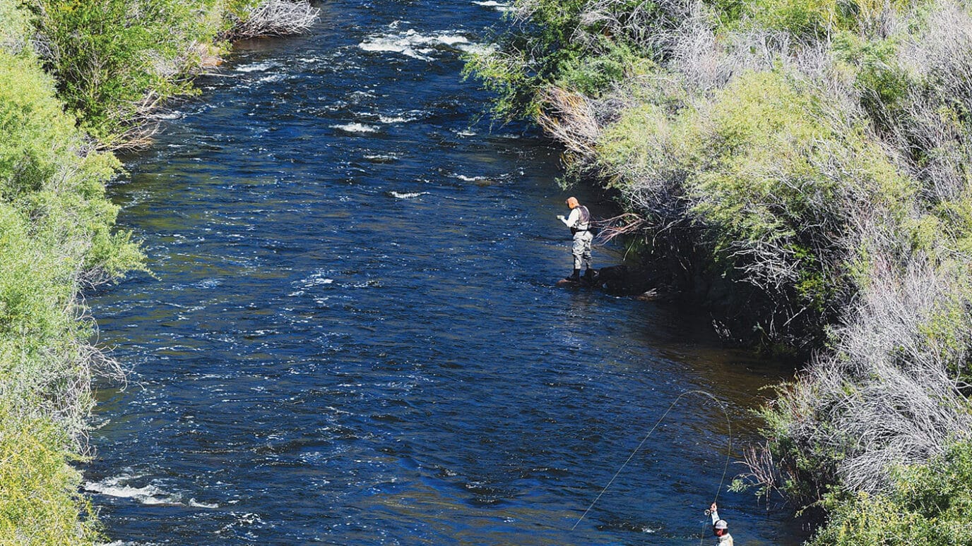 The Thermalito Afterbay - California Fly Fisher