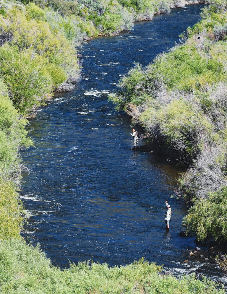 Lake Barrett - California Fly Fisher