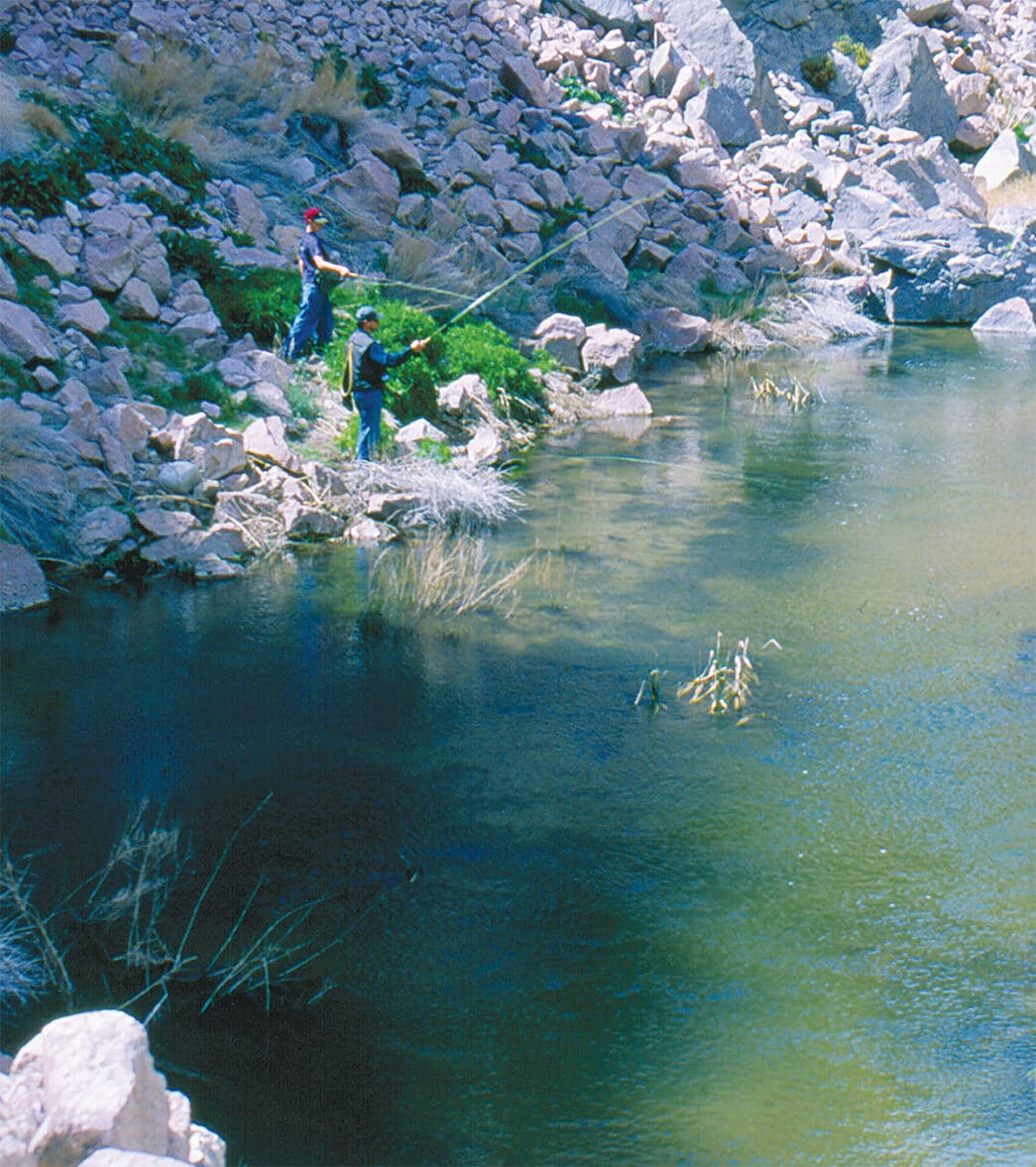 The Lower Owens River - California Fly Fisher