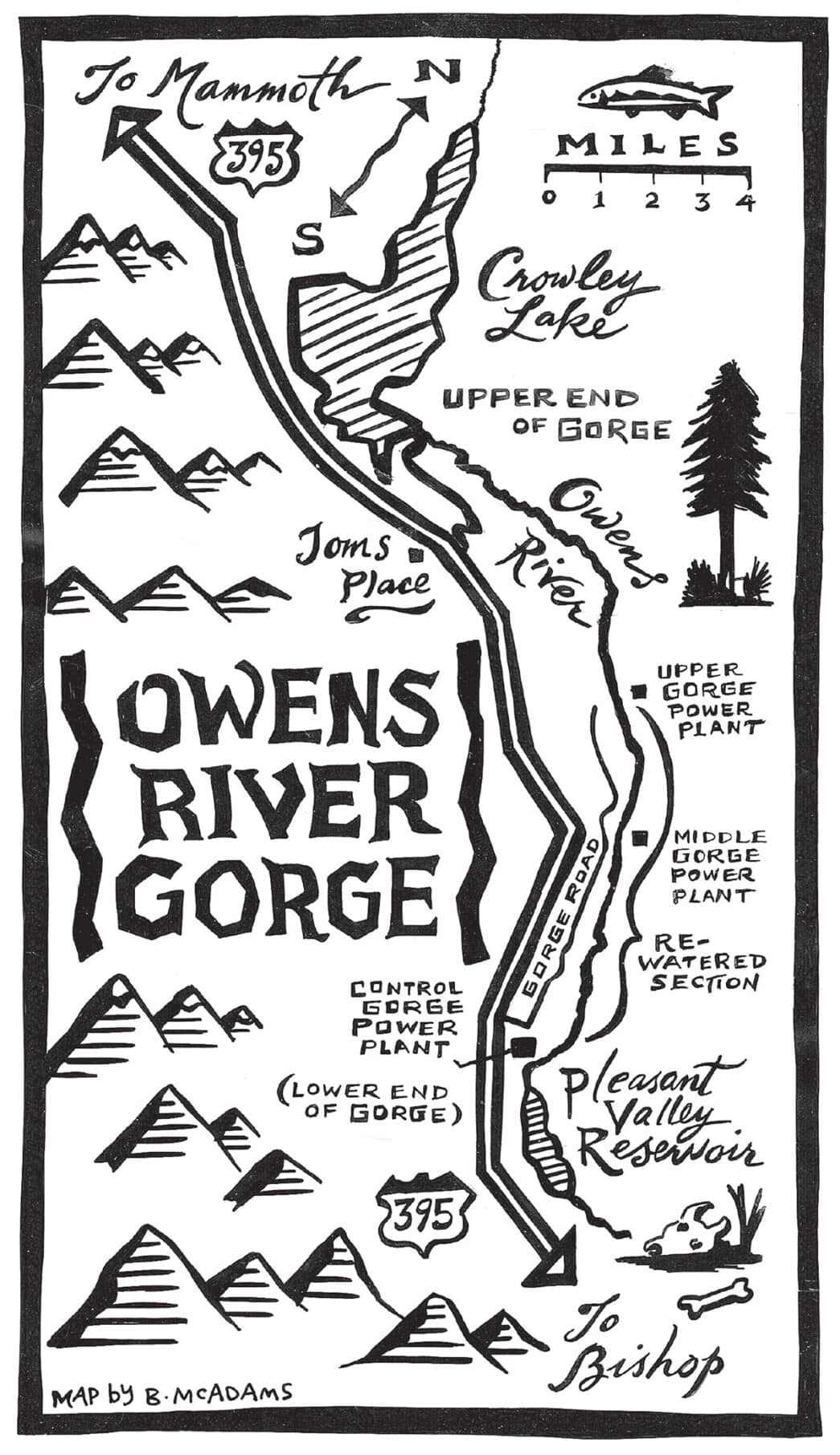 The Lower Owens River - California Fly Fisher