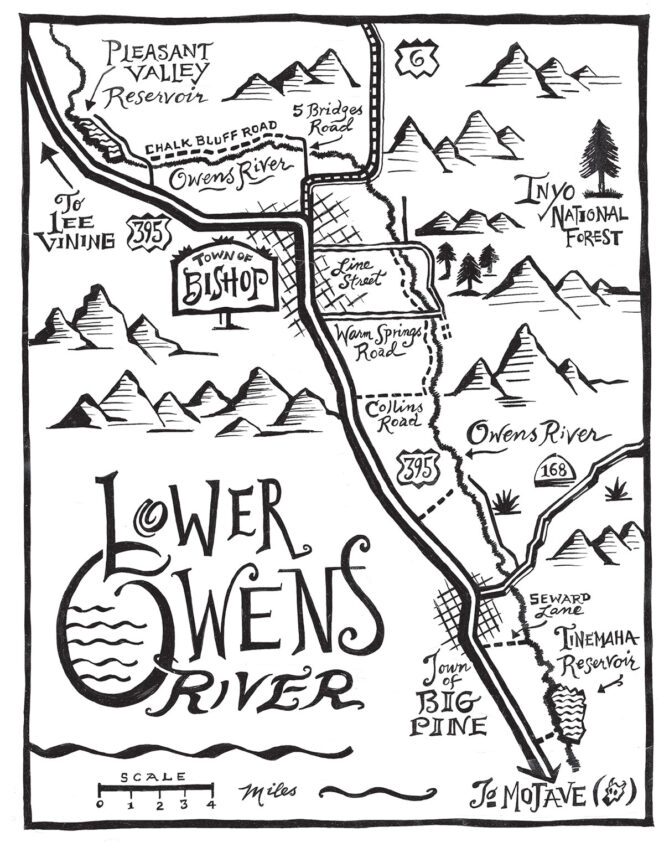 The Lower Owens River - California Fly Fisher