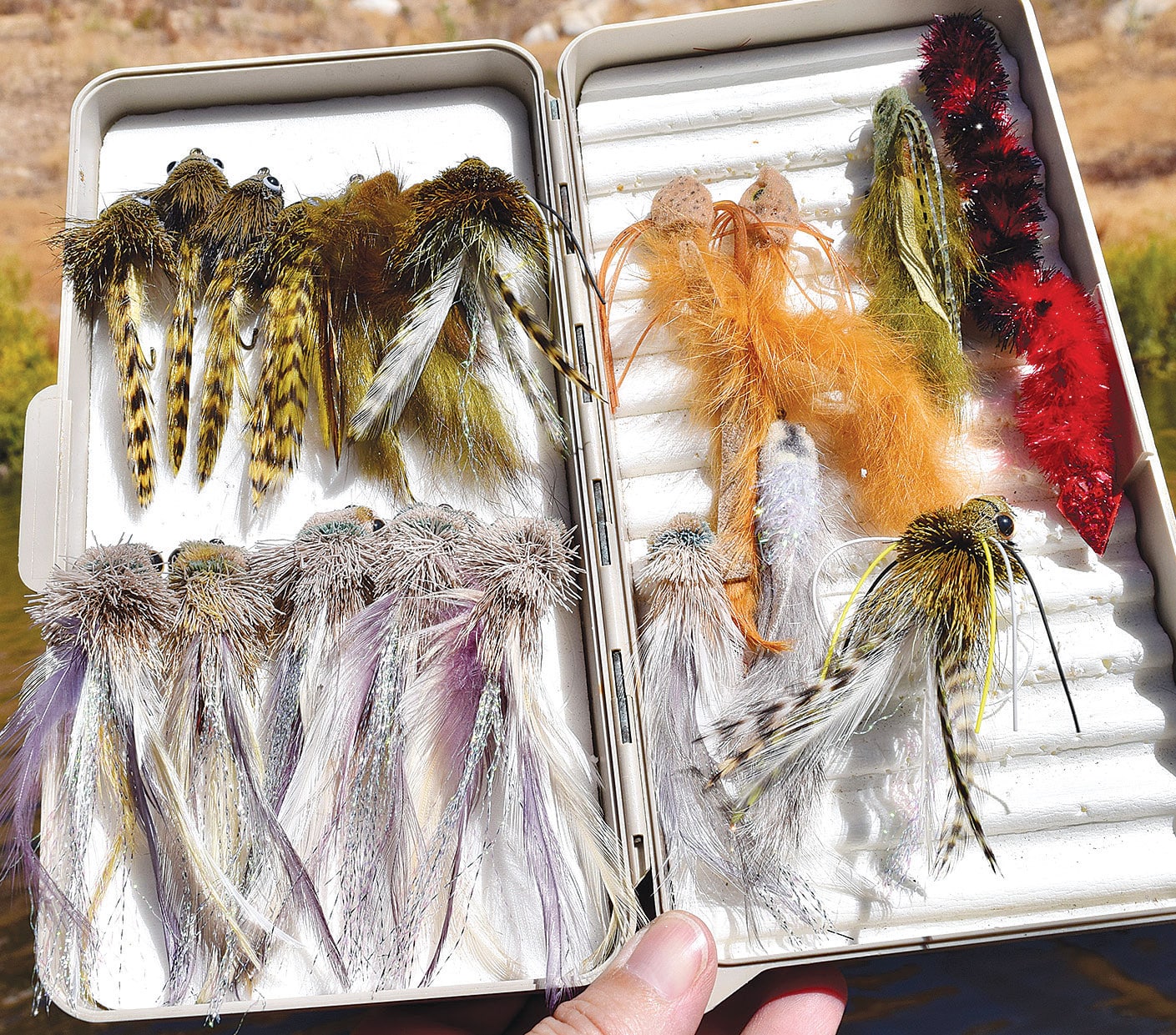 Lake Barrett - California Fly Fisher