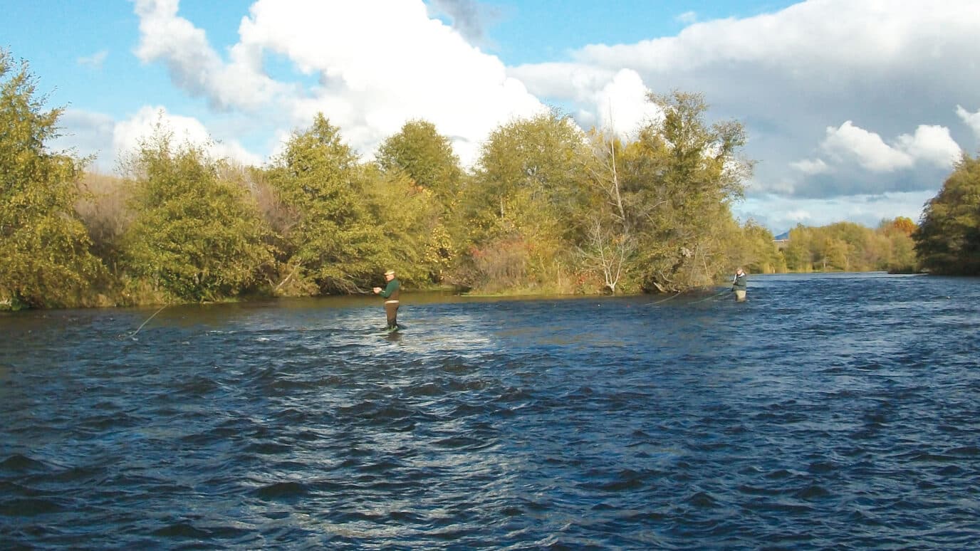 Fly Fishing Soft Plastics - California Fly Fisher