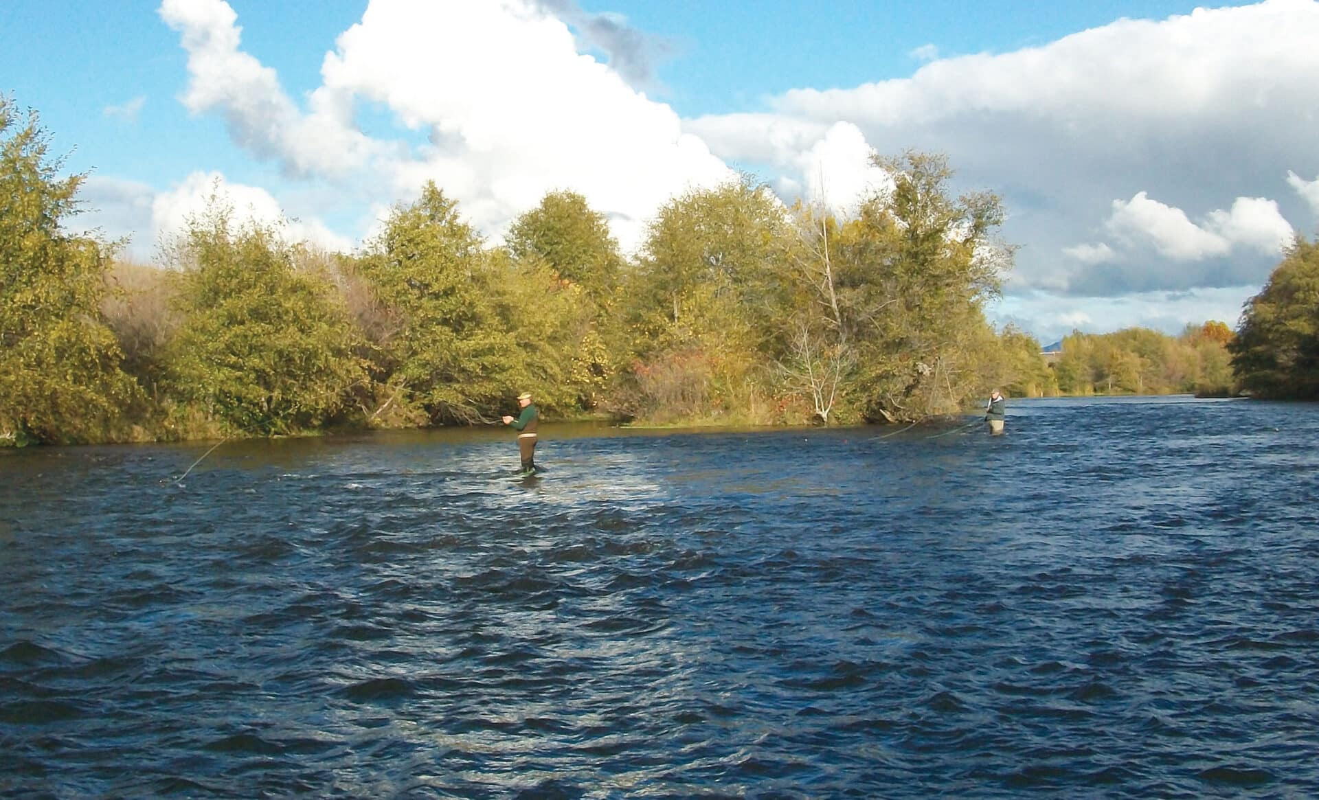 Catchy Ideas: Slinging Sinkers - California Fly Fisher