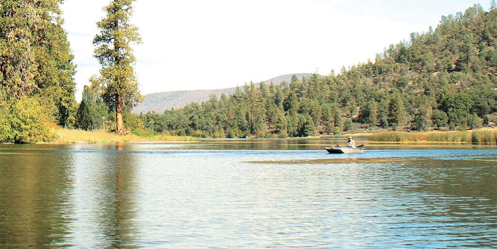 Fishing Big Bear Lake: Another Perspective - California Fly Fisher