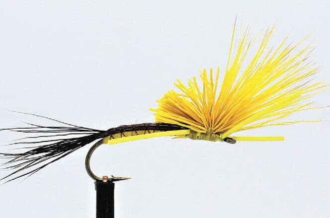 Hex Fishing in Northern California - California Fly Fisher