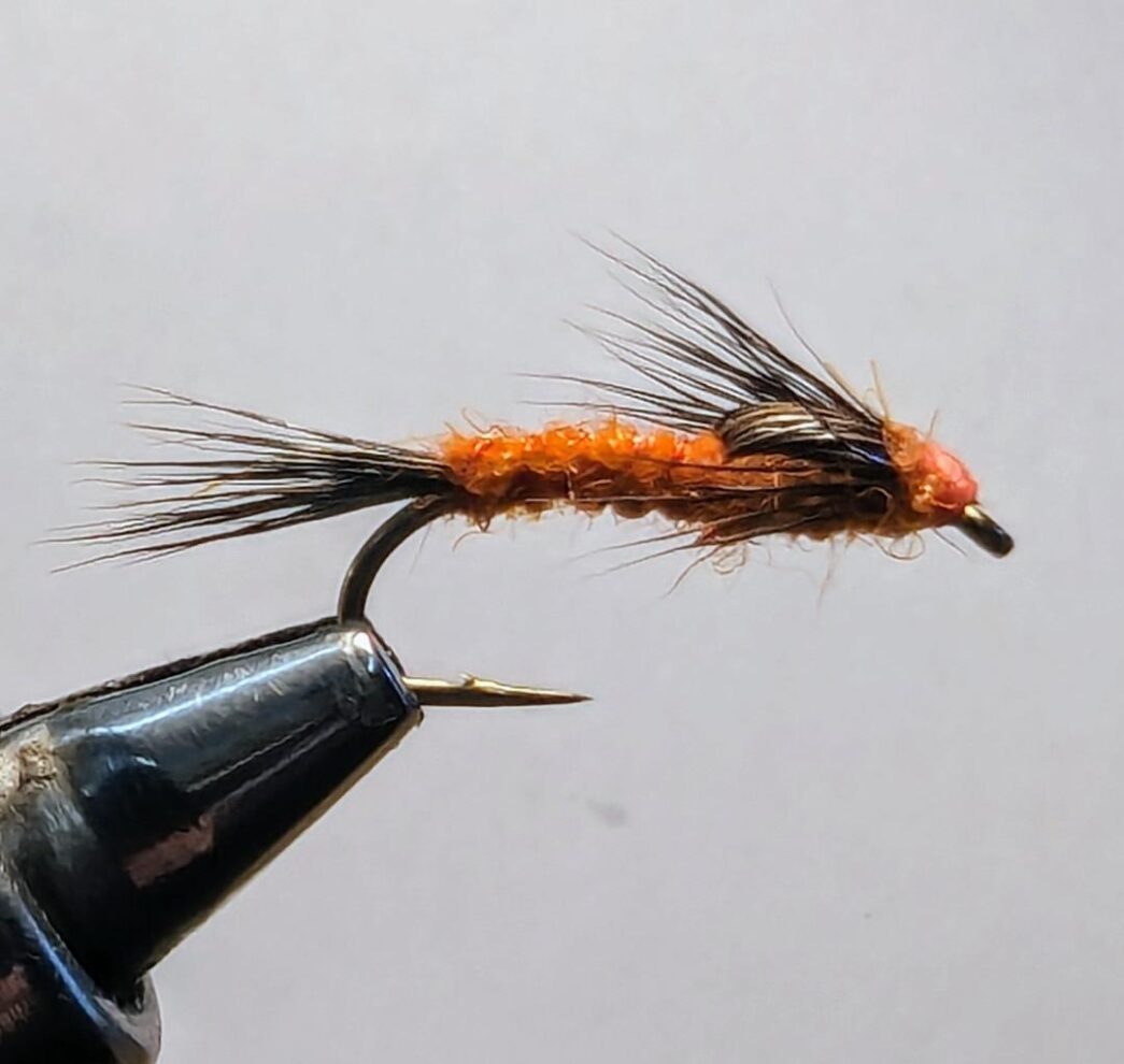 The AP Nymph - California Fly Fisher