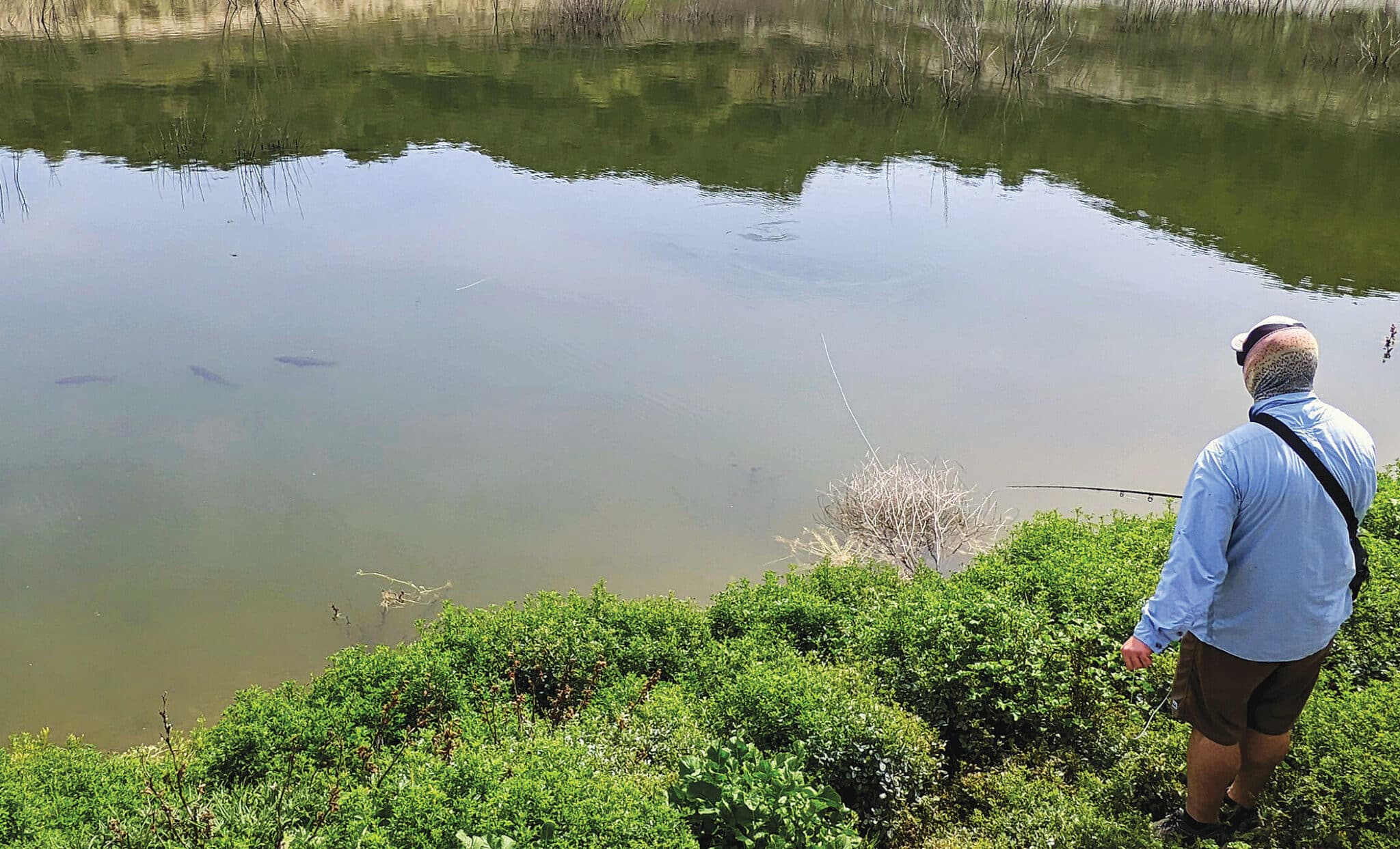 The WD-40 - California Fly Fisher