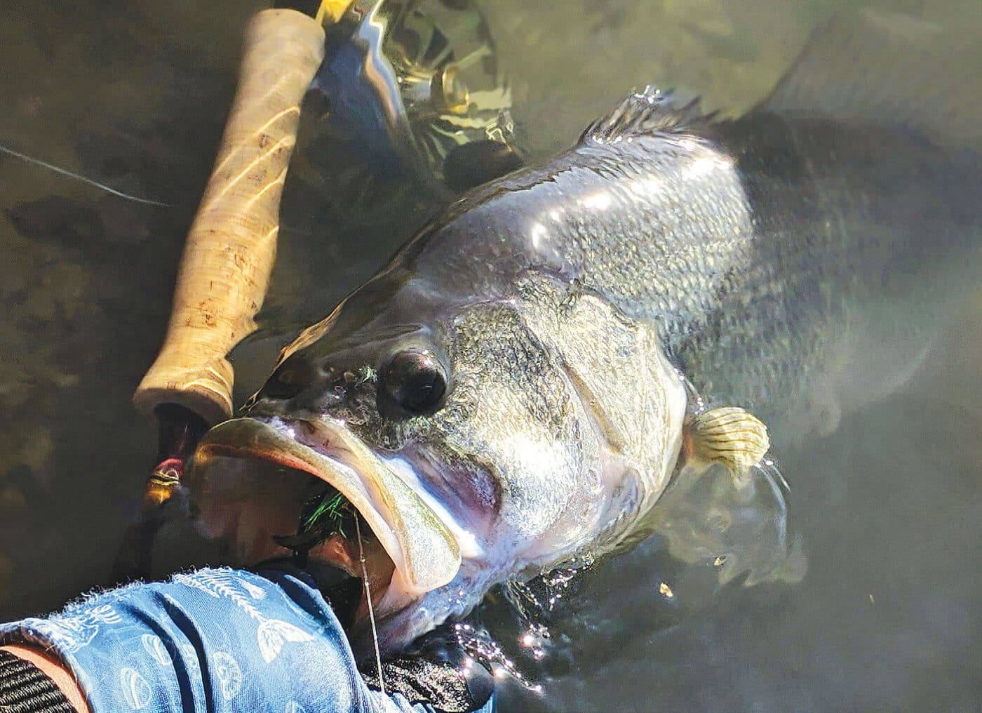 Fishing Mountain Water in Winter - California Fly Fisher