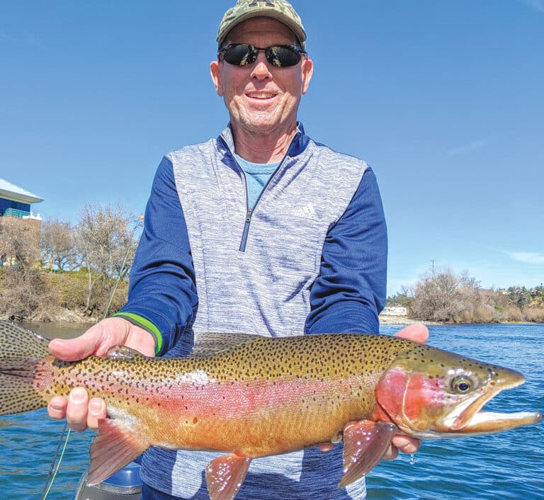 Tips for Success on the Lower Sacramento - California Fly Fisher