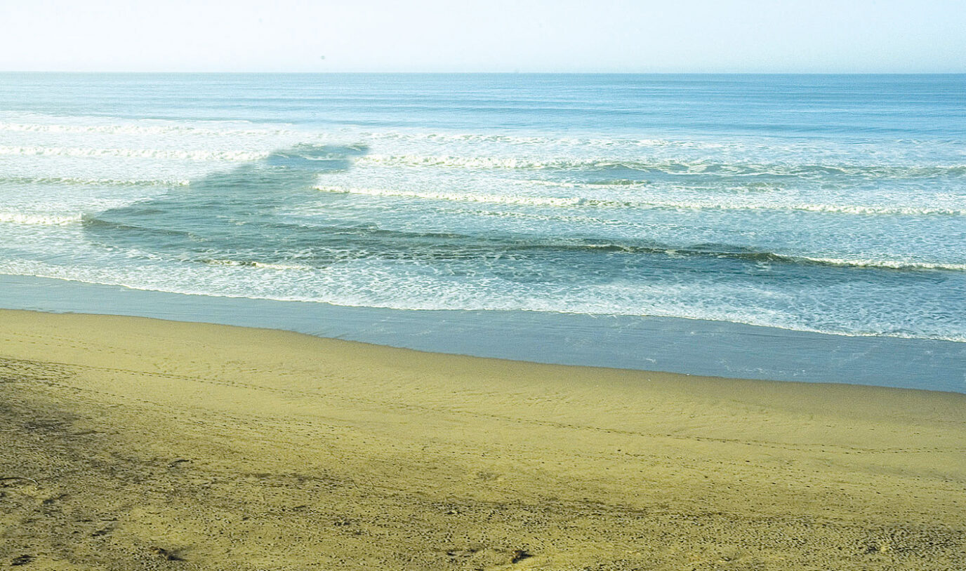 Surf-Zone Basics - California Fly Fisher