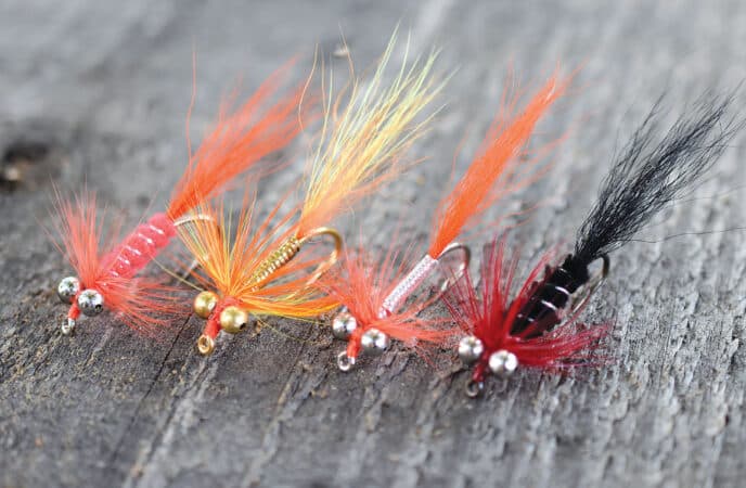 California Winter Steelhead Flies - California Fly Fisher