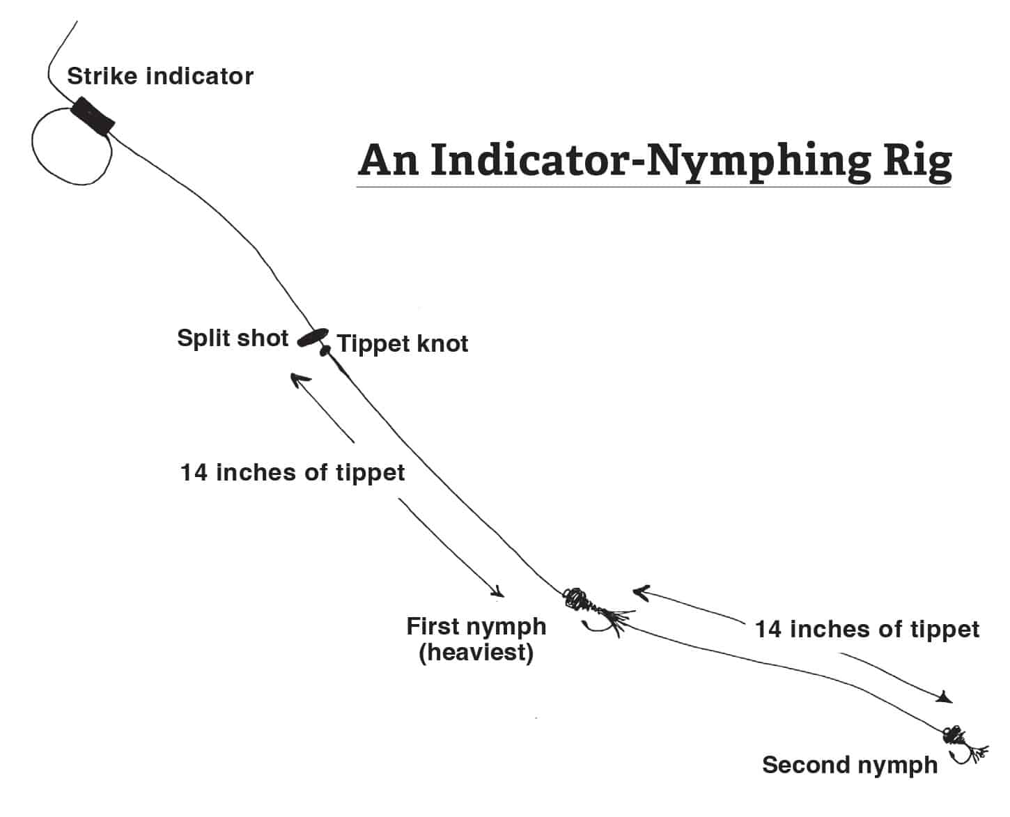 Nymphing for Newbies - California Fly Fisher