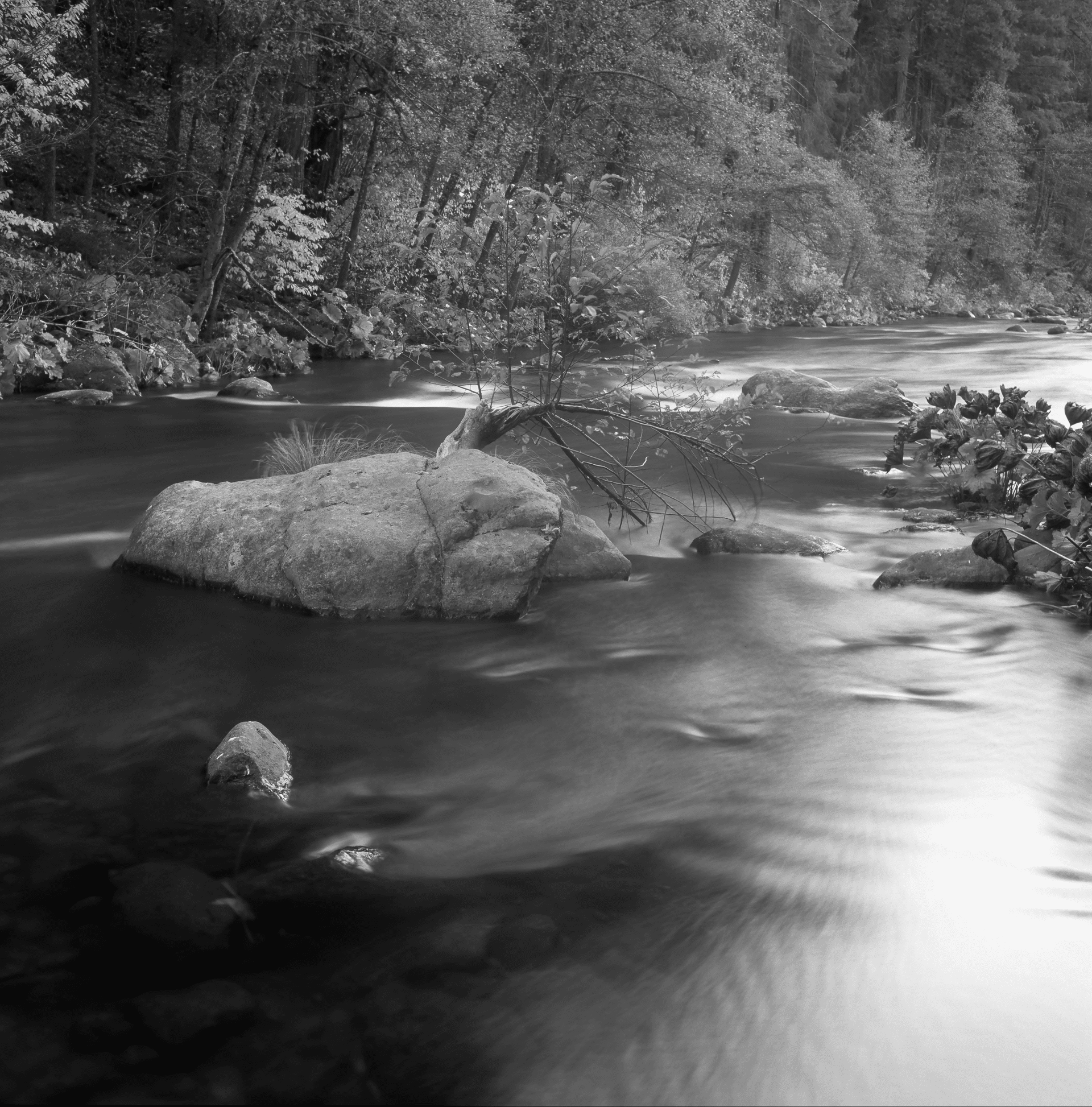 Guide Profile: Pat Jaeger - California Fly Fisher