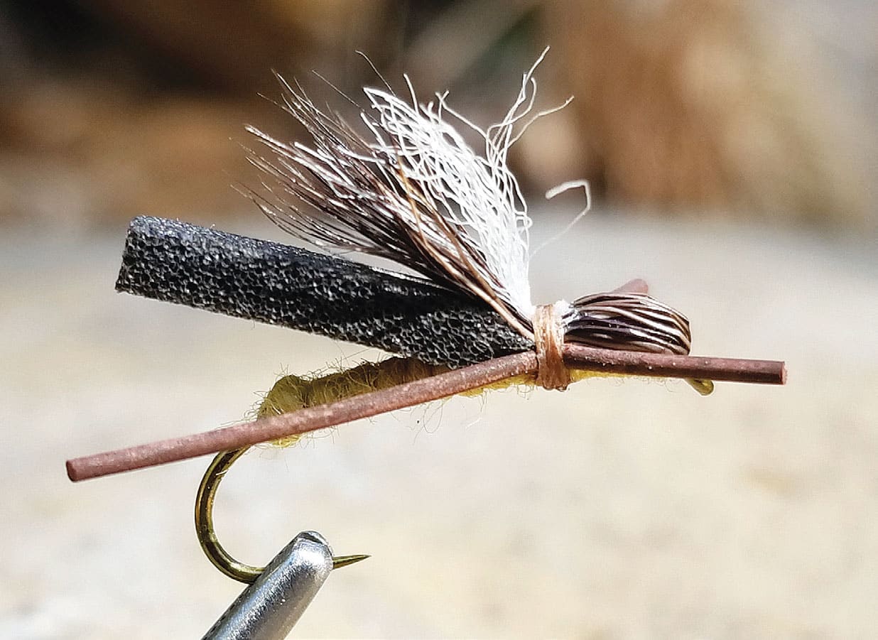 Skwala Primer for 2021: Lessons Learned - California Fly Fisher